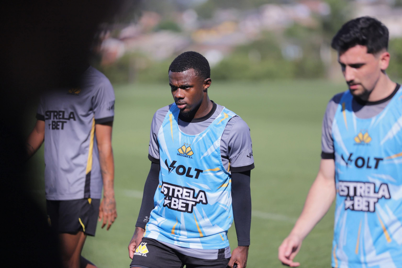 Criciúma x Tubarão - Tigre quer carimbar vaga na próxima fase da Copa ...