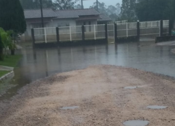 Sangão à espera dos materiais de limpeza - Cotidiano - 4oito
